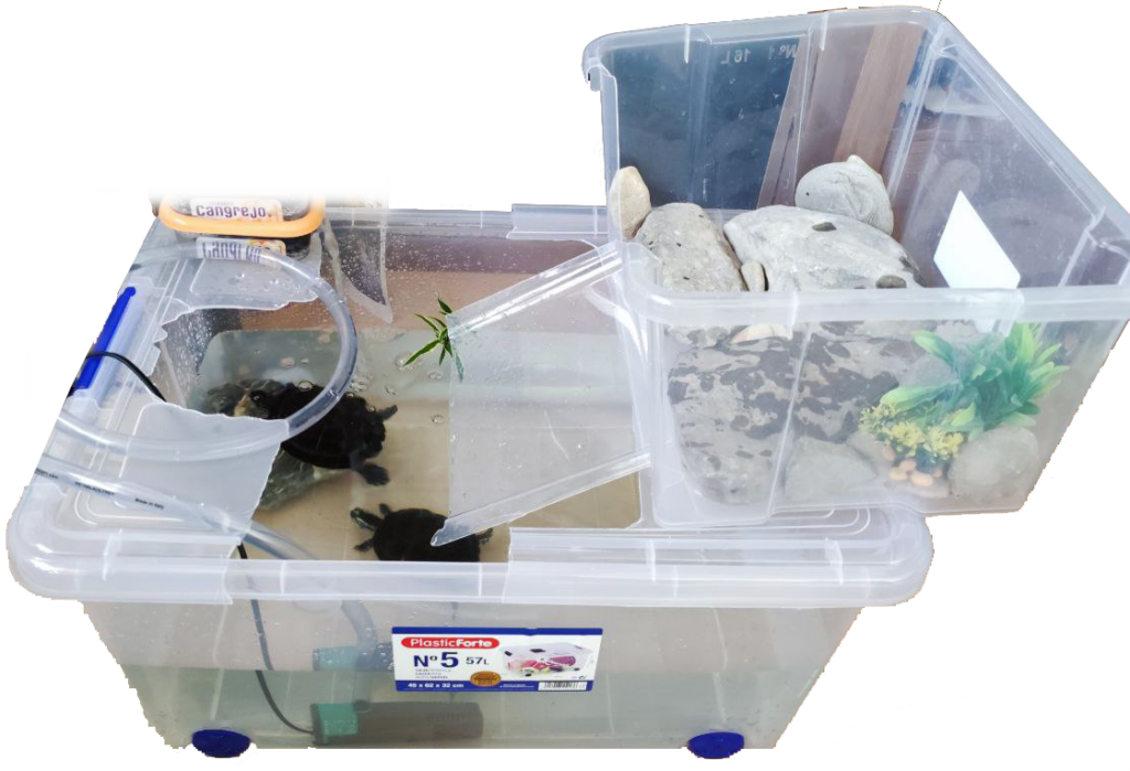 Mejor Rampa para tortugas | Comparativa - Info Tortuga